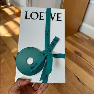 Loewe | Accessories | Nwt Loewe Jade Collection Emerald Snail Dice Bag ...